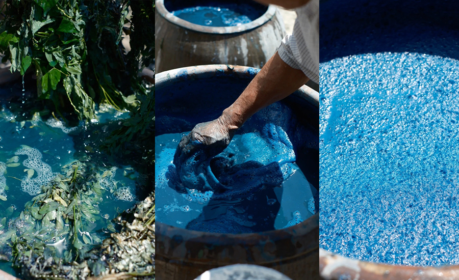 Sustainable Inspiration: Learning from ANTA’s ESG Practices